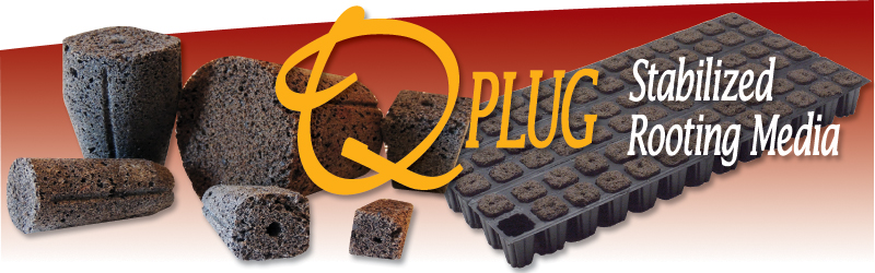 International Horticultural Technologies: Q Plugs